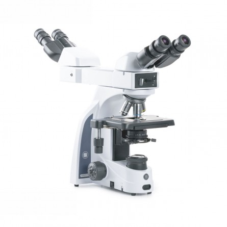 MT-60/TH-2BB Two-Headed Binocular Teaching Microscope, B2B LED ...